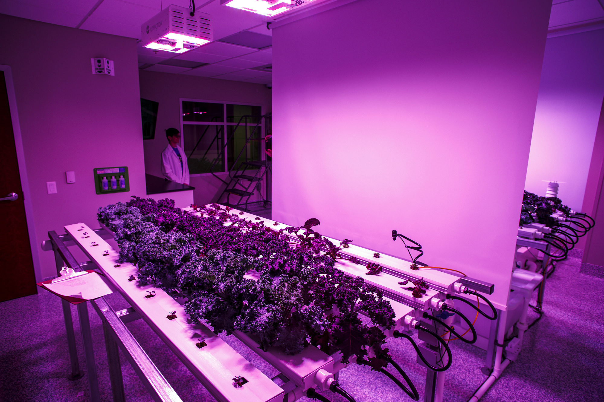 Pa. school opens largest aquaponics facility in the country - pennlive.com