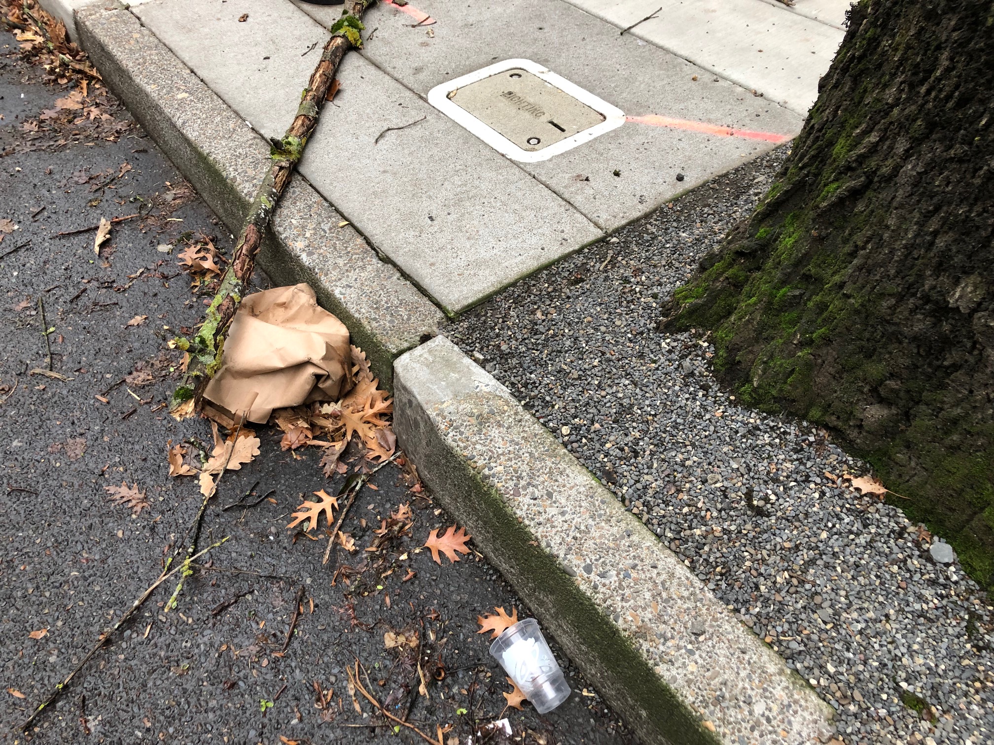 Windstorm aftermath, Portland, Jan. 6, 2019 - oregonlive.com