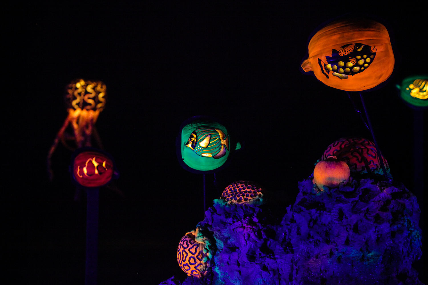 Jack's Pumpkin Glow in Philadelphia - pennlive.com