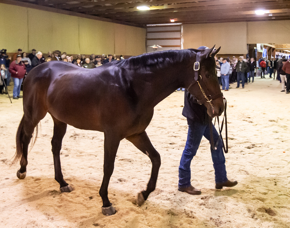 Rally to save horse racing in Pennsylvania - pennlive.com