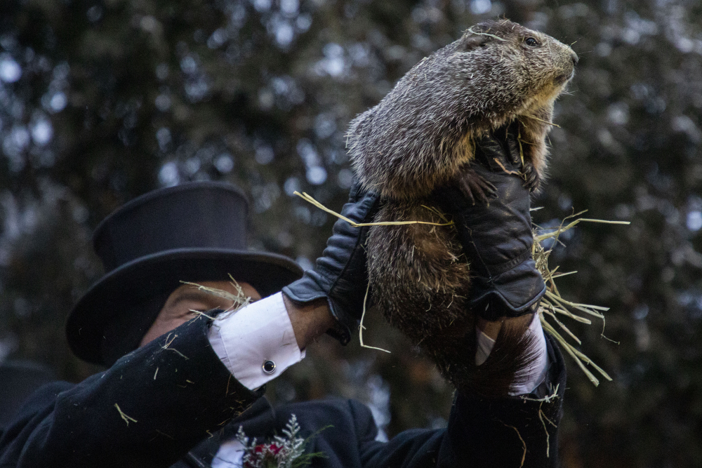 Will Punxsutawney Phil see his shadow on this 2019 Groundhog Day ...