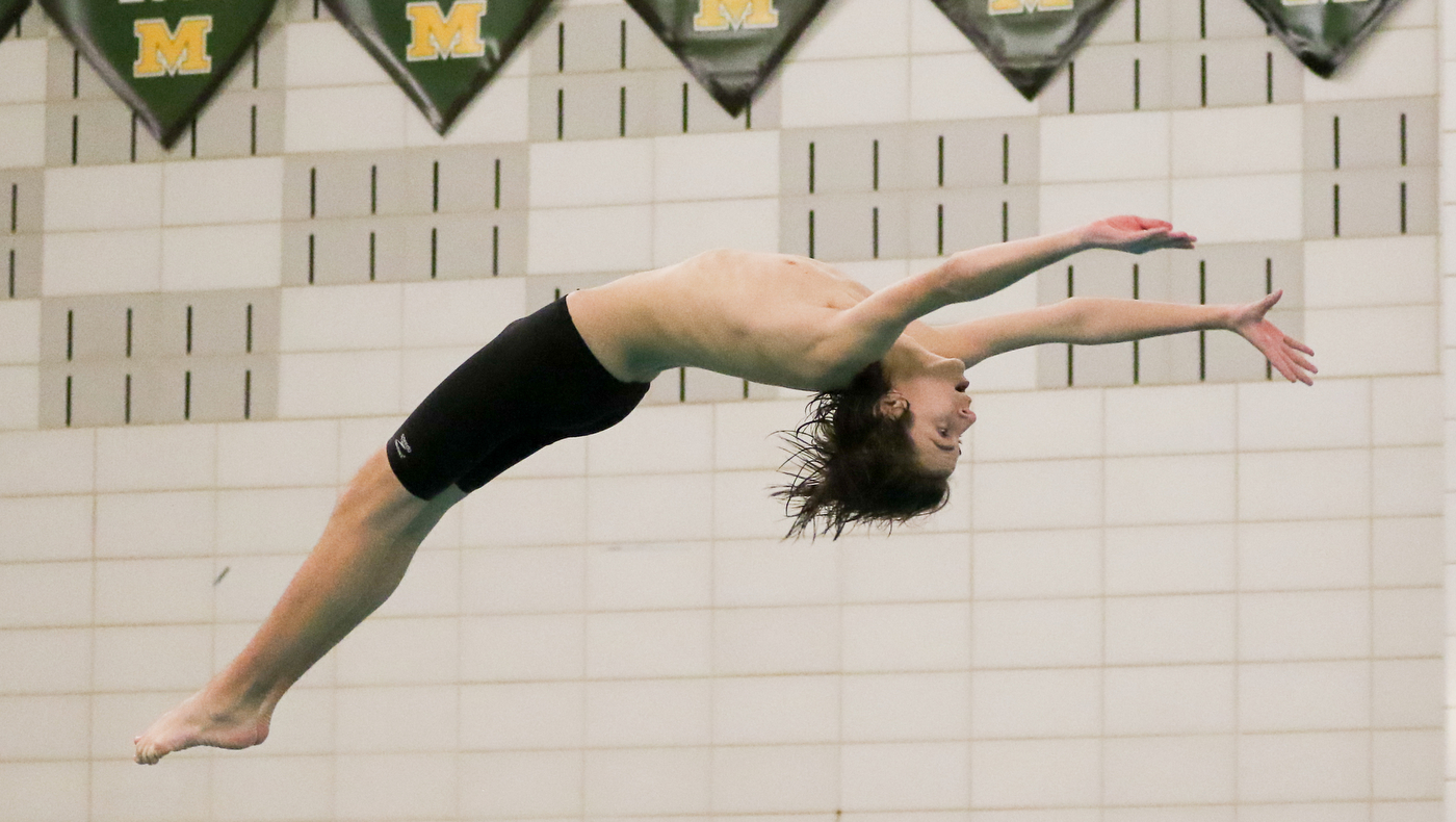 2020 NJSIAA Boys Diving Championship in Skillman on 2/26/2020 - nj.com