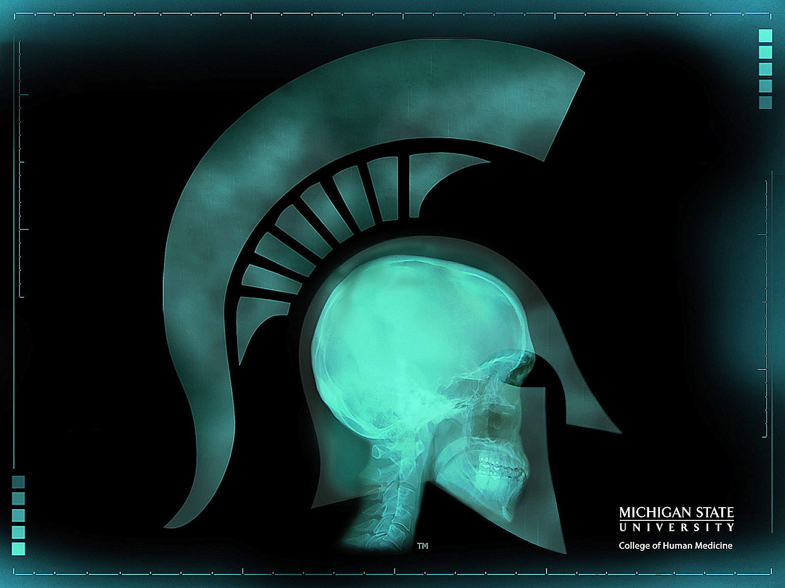 Michigan State University College of Human Medicine - mlive.com