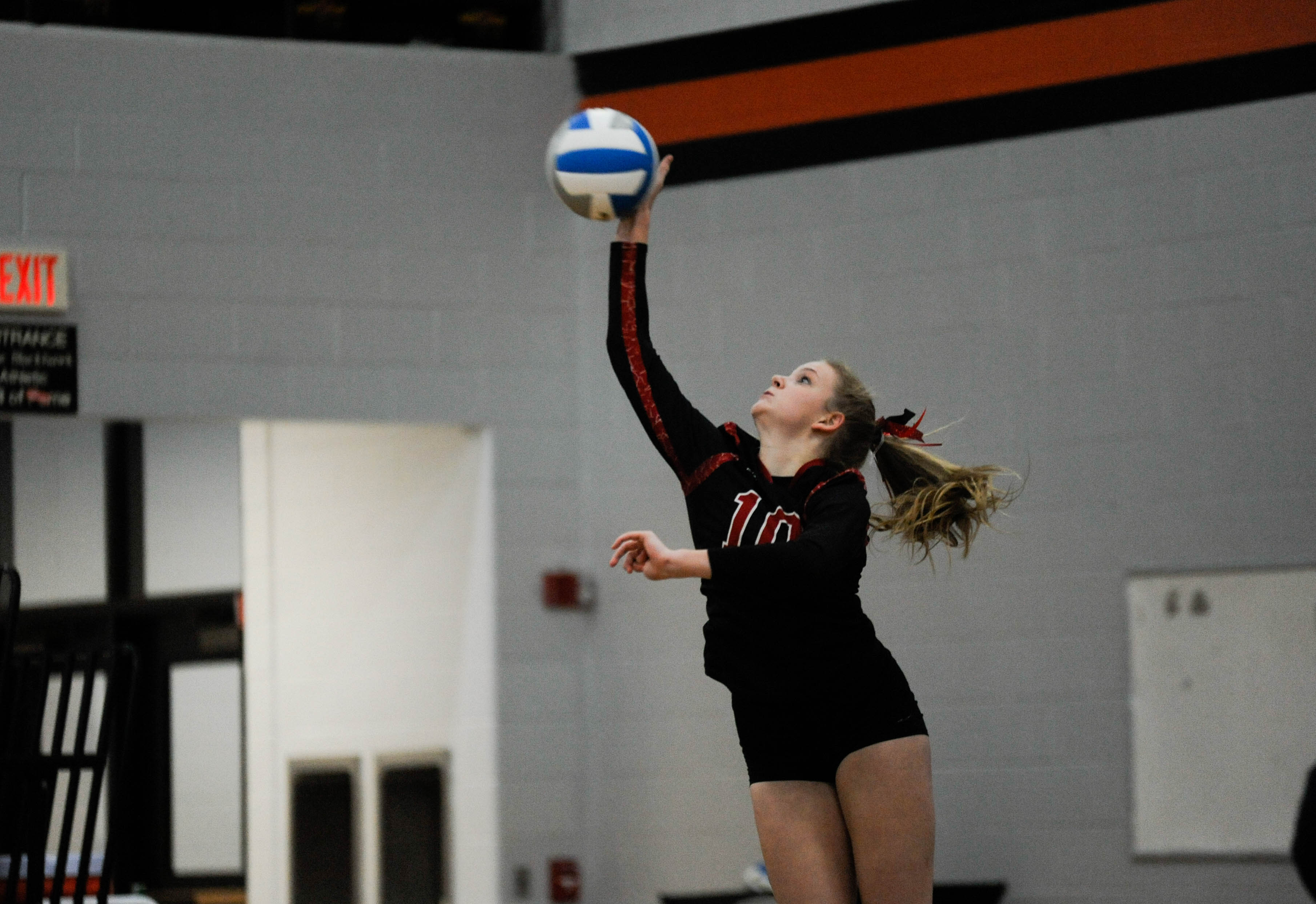 Vandercook Lake volleyball defeats Bath during Division 3 regional ...