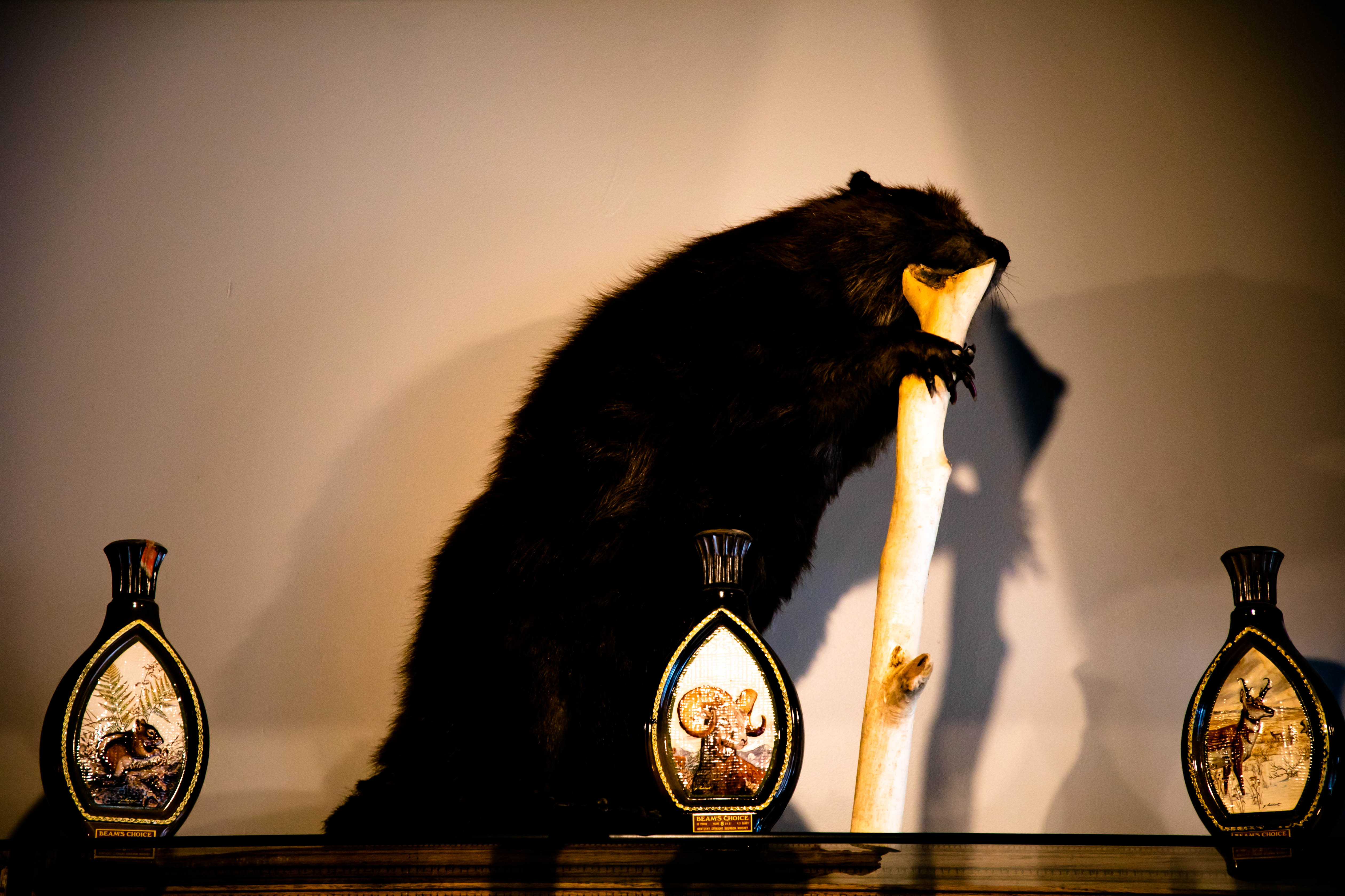 Beaver's Pub restaurant to open in downtown Bay City - mlive.com