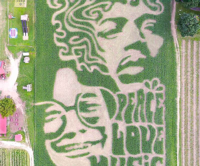 Mike Maze's Instagram, Twitter & Facebook on IDCrawl