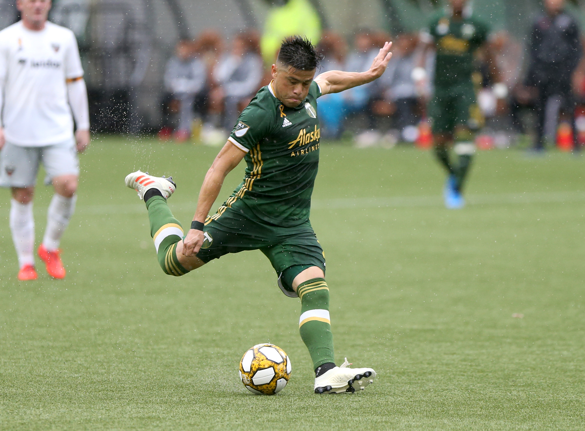 Portland Timbers vs. DC United: Sept. 15, 2019 - oregonlive.com