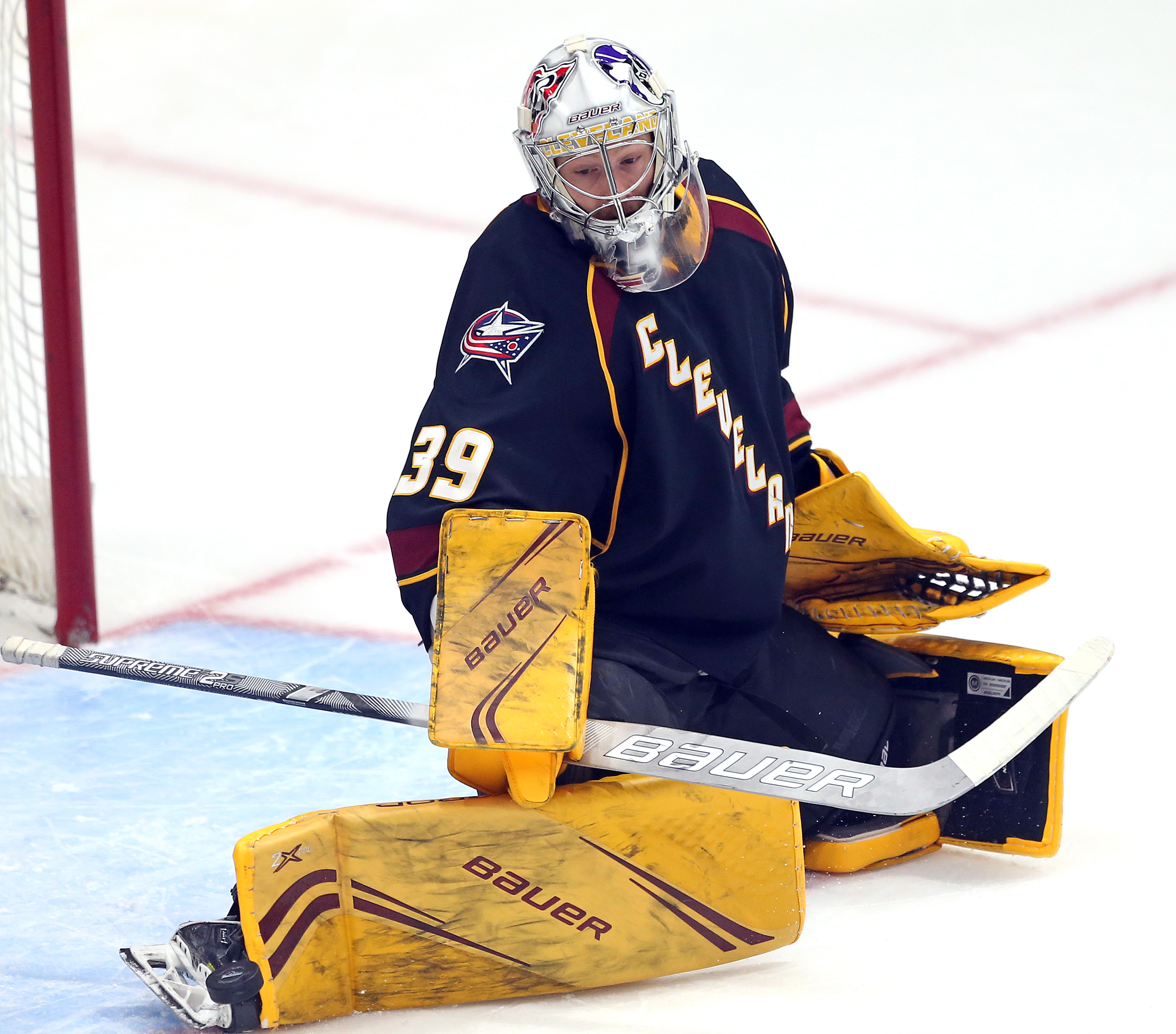 Cleveland Monsters vs. Toronto Marlies, May 5, 2019 - cleveland.com