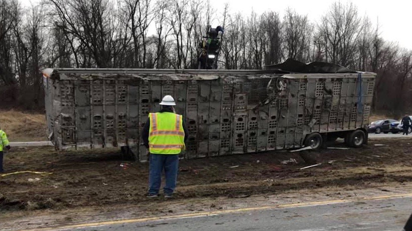 Truck crash in Cumberland County kills 13 cows - pennlive.com