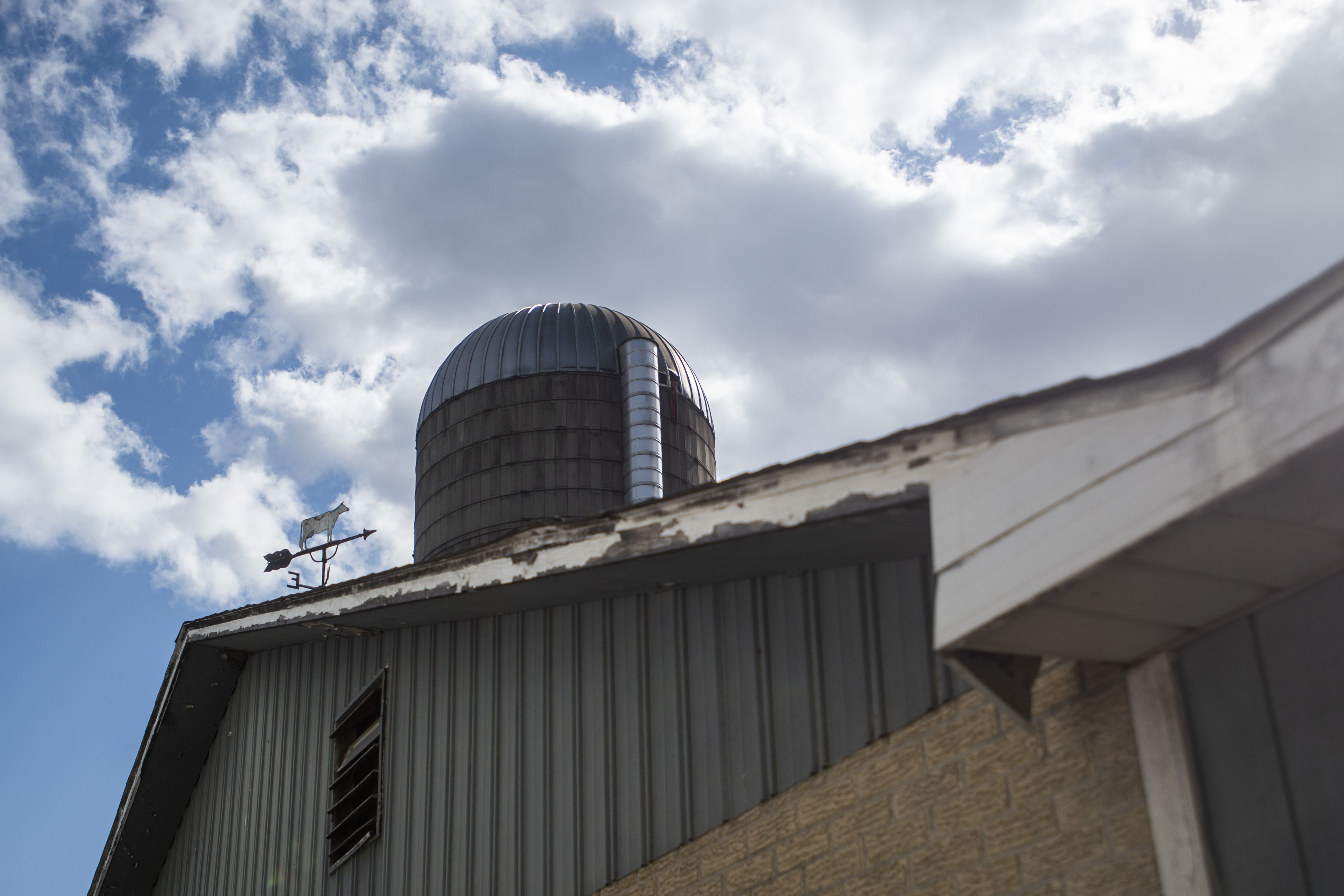 125 cows to relocate after century-old Hemlock dairy farm closes ...