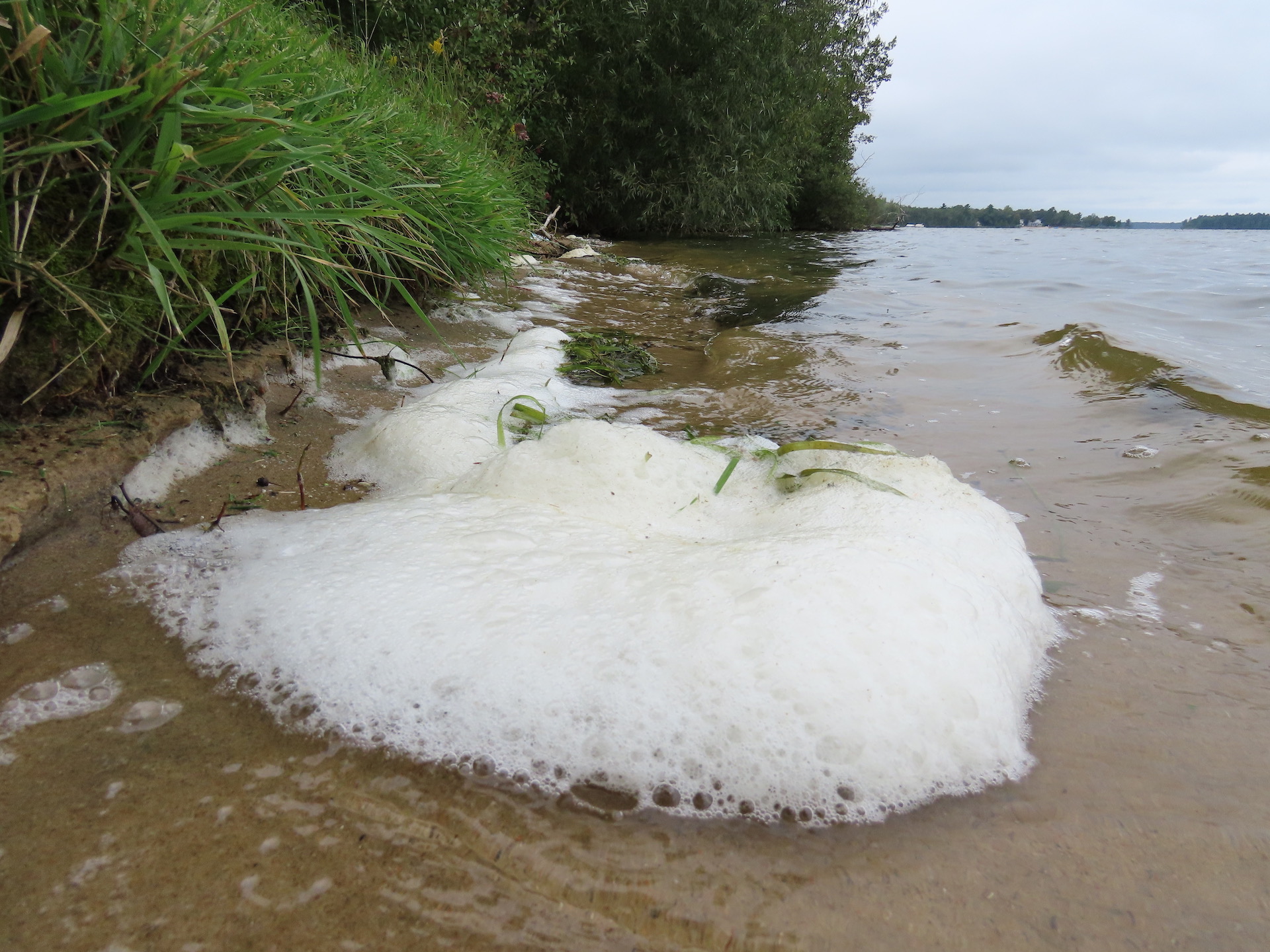 Michigan PFAS activists gather in Oscoda to demand cleanup - mlive.com