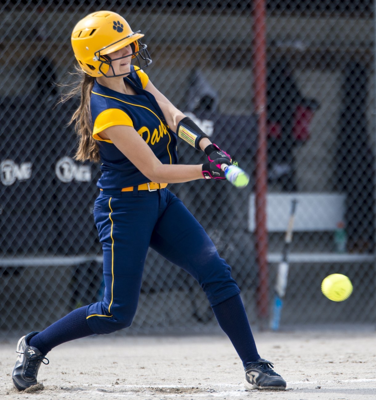 2019 MLive Bay City Baseball and Softball Dream Teams - mlive.com