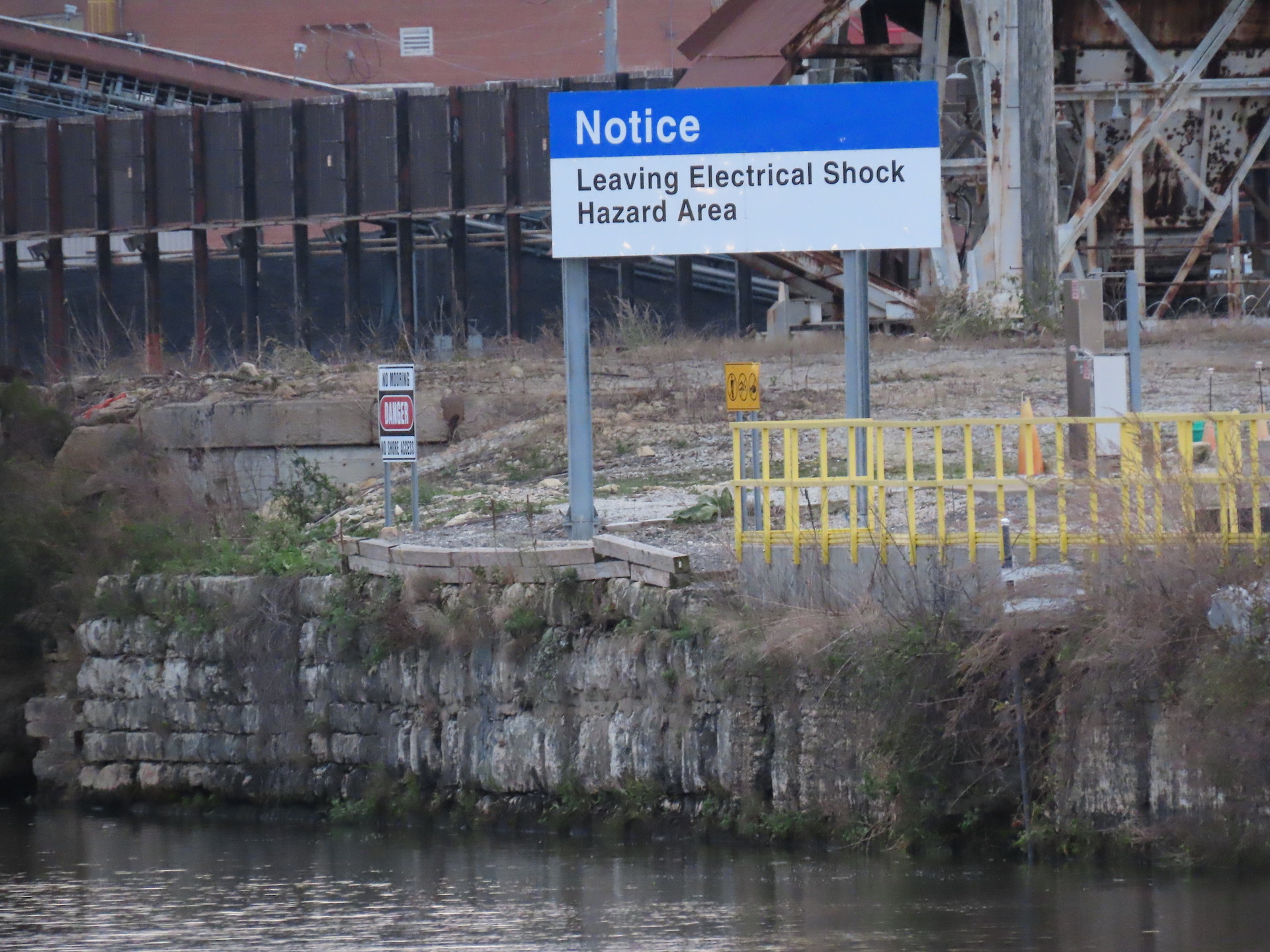 Asian carp control in Illinois - mlive.com