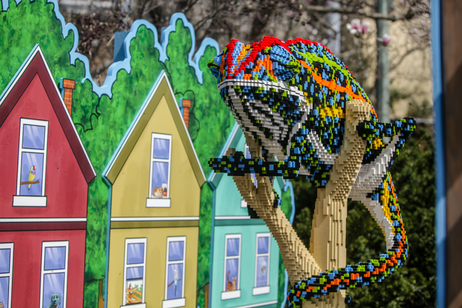 Philadelphia Zoo opens Creatures of Habitat exhibit and Zoo Key ...