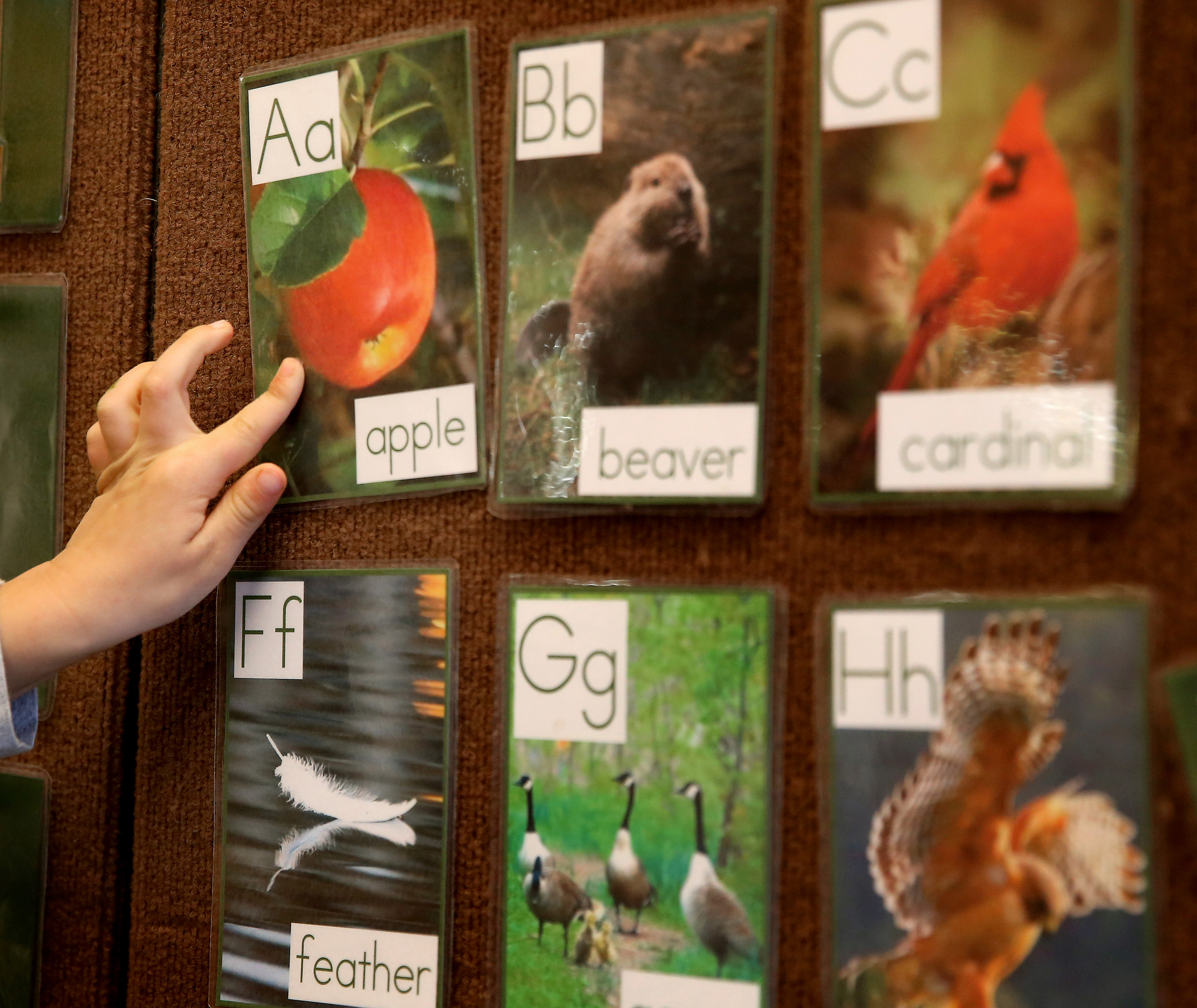 The Nature Preschool - cleveland.com