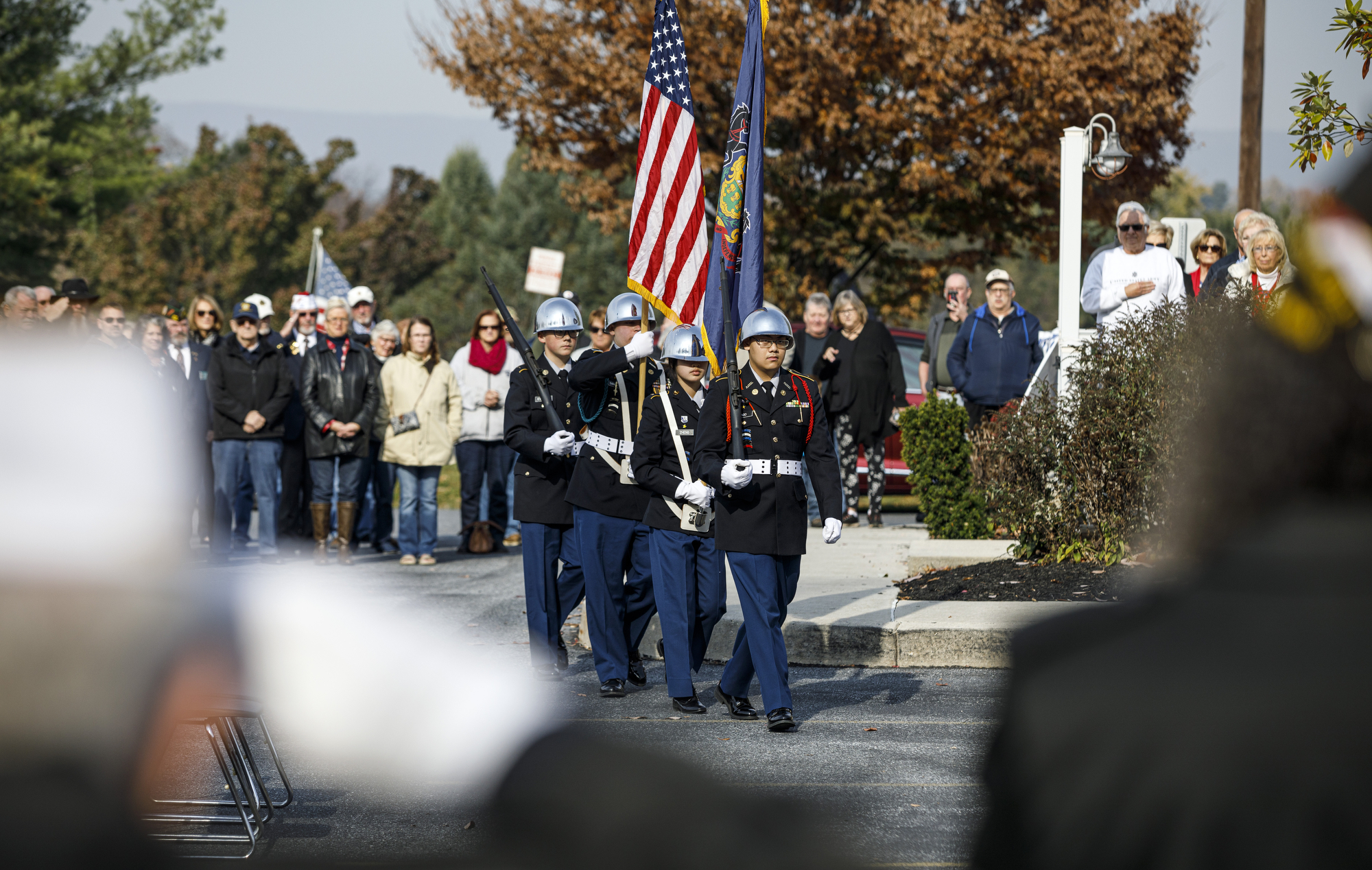 Veterans Day ceremony at Lower Allen VFW Post - pennlive.com