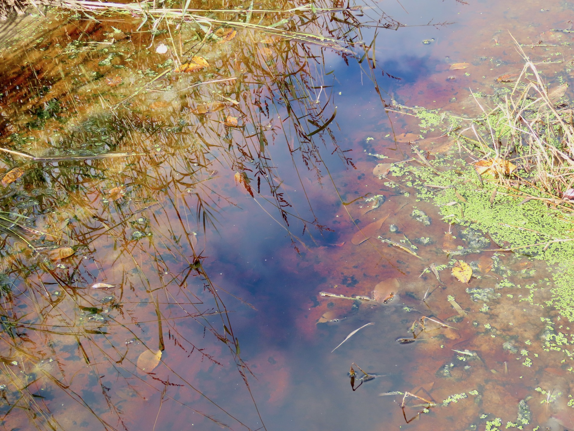 Otsego wants answers to paper sludge pollution concerns - mlive.com