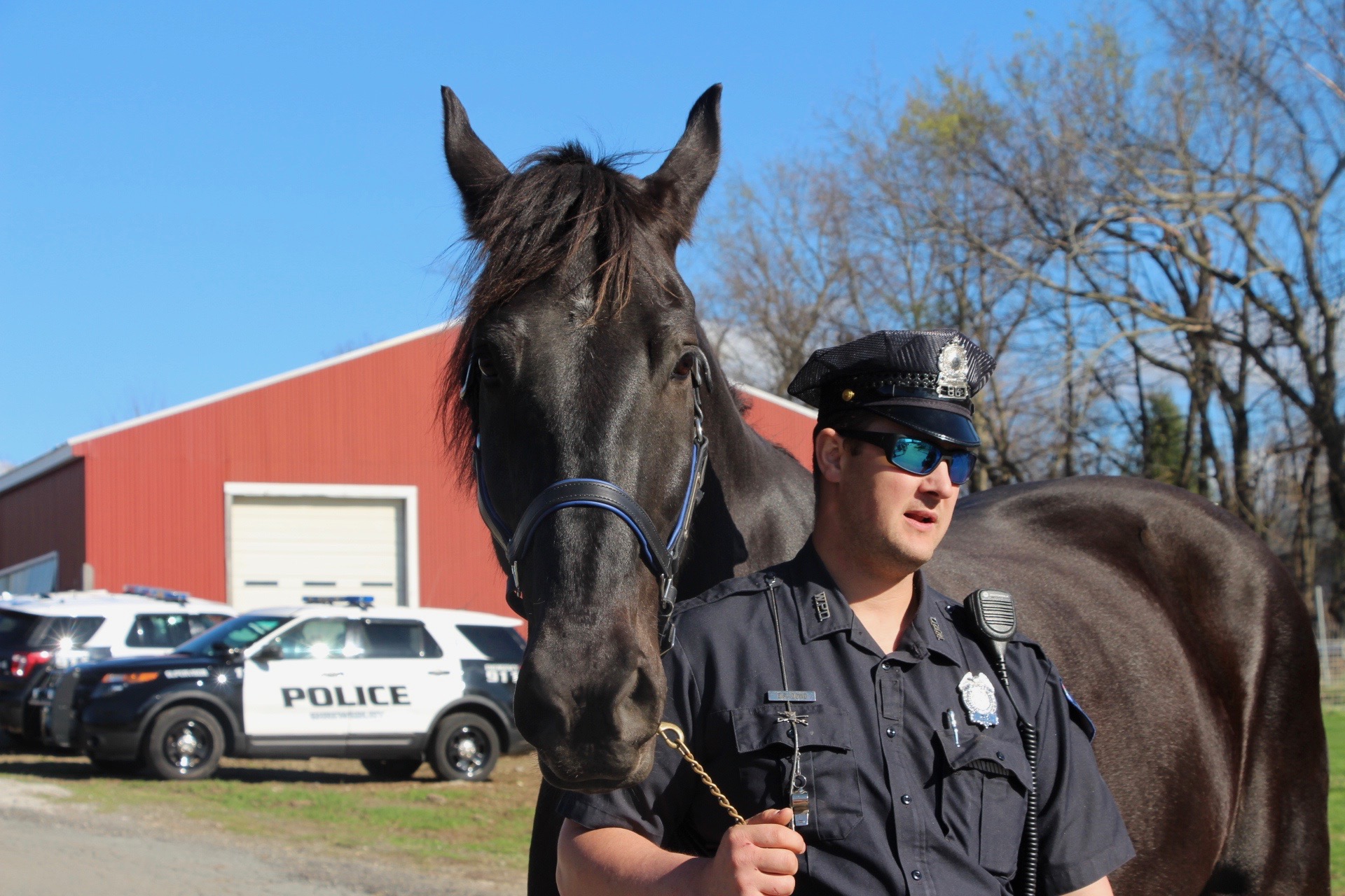 Worcester Police Department's Mounted Unit - masslive.com