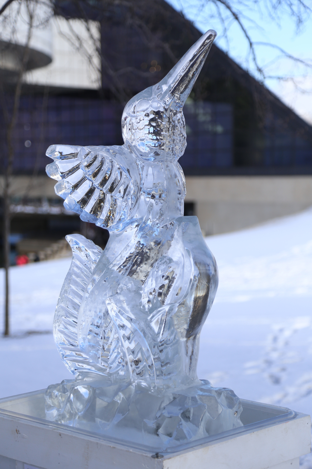 Check out these cool (pun intended) ice sculptures at the Ice Fest ...