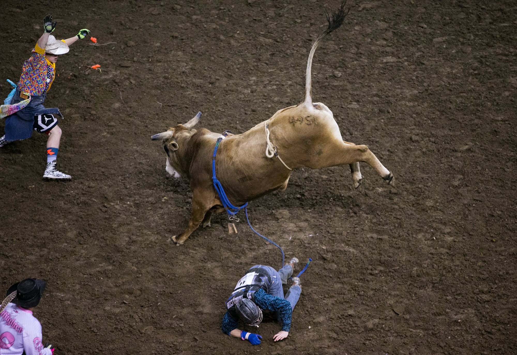 Pa. State Farm Show: Best photos from 2018 - pennlive.com