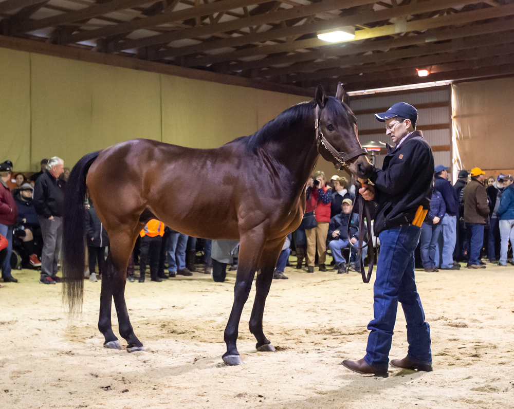 Rally to save horse racing in Pennsylvania - pennlive.com