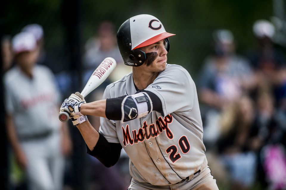 Flint softball and baseball Dream Teams - mlive.com