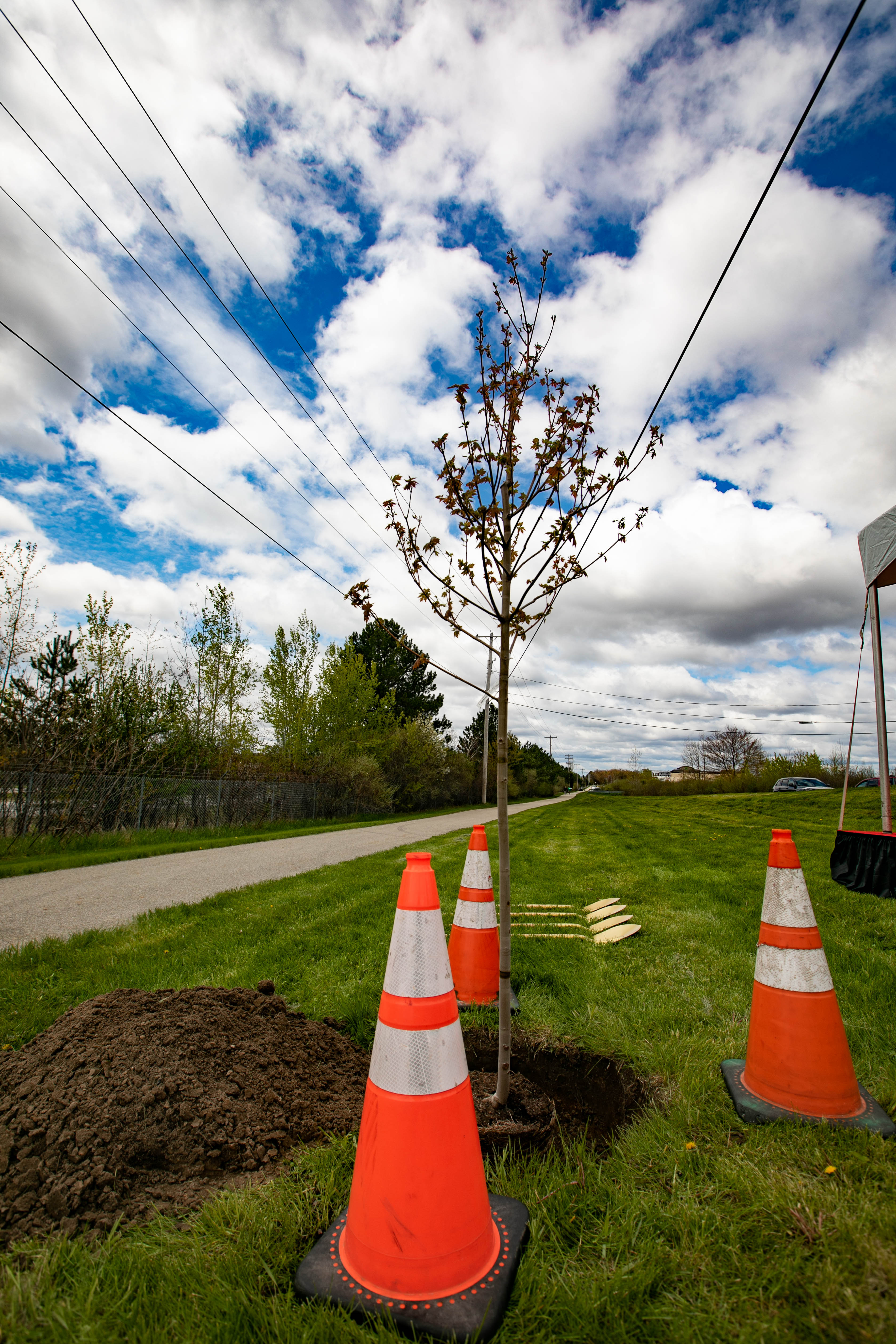 DuPont establishes their presence in Michigan with a tree-planting ...