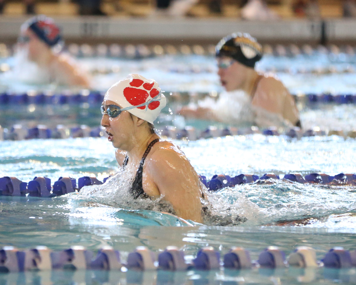 Girls Swimming: 2020 Meet of Champions - nj.com