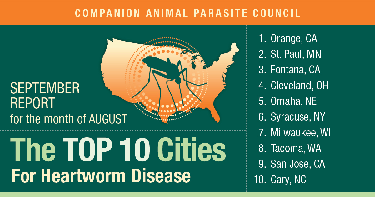 Heartworm in dogs - cleveland.com