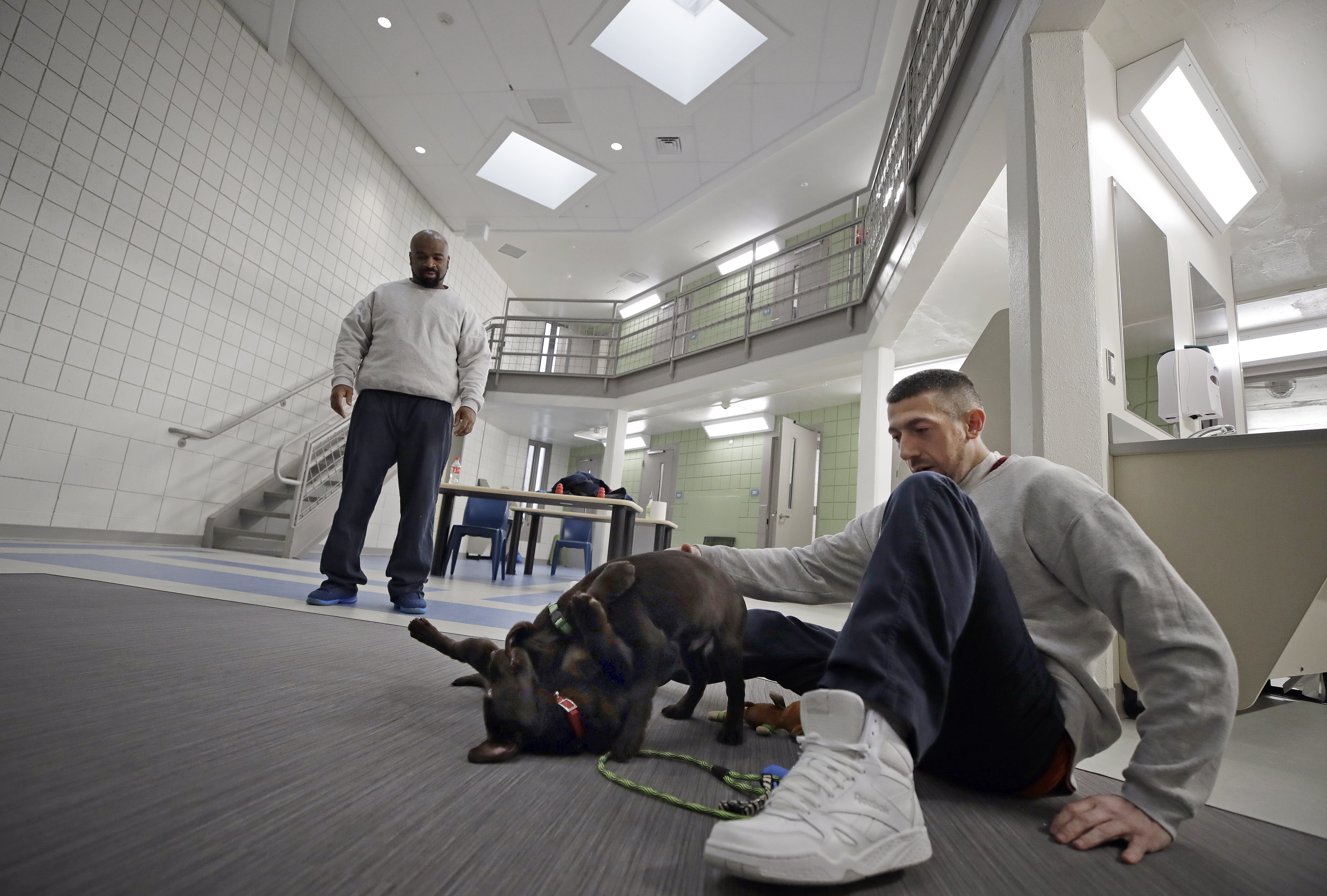 Inmates battling addiction get an unlikely ally: a puppy - masslive.com
