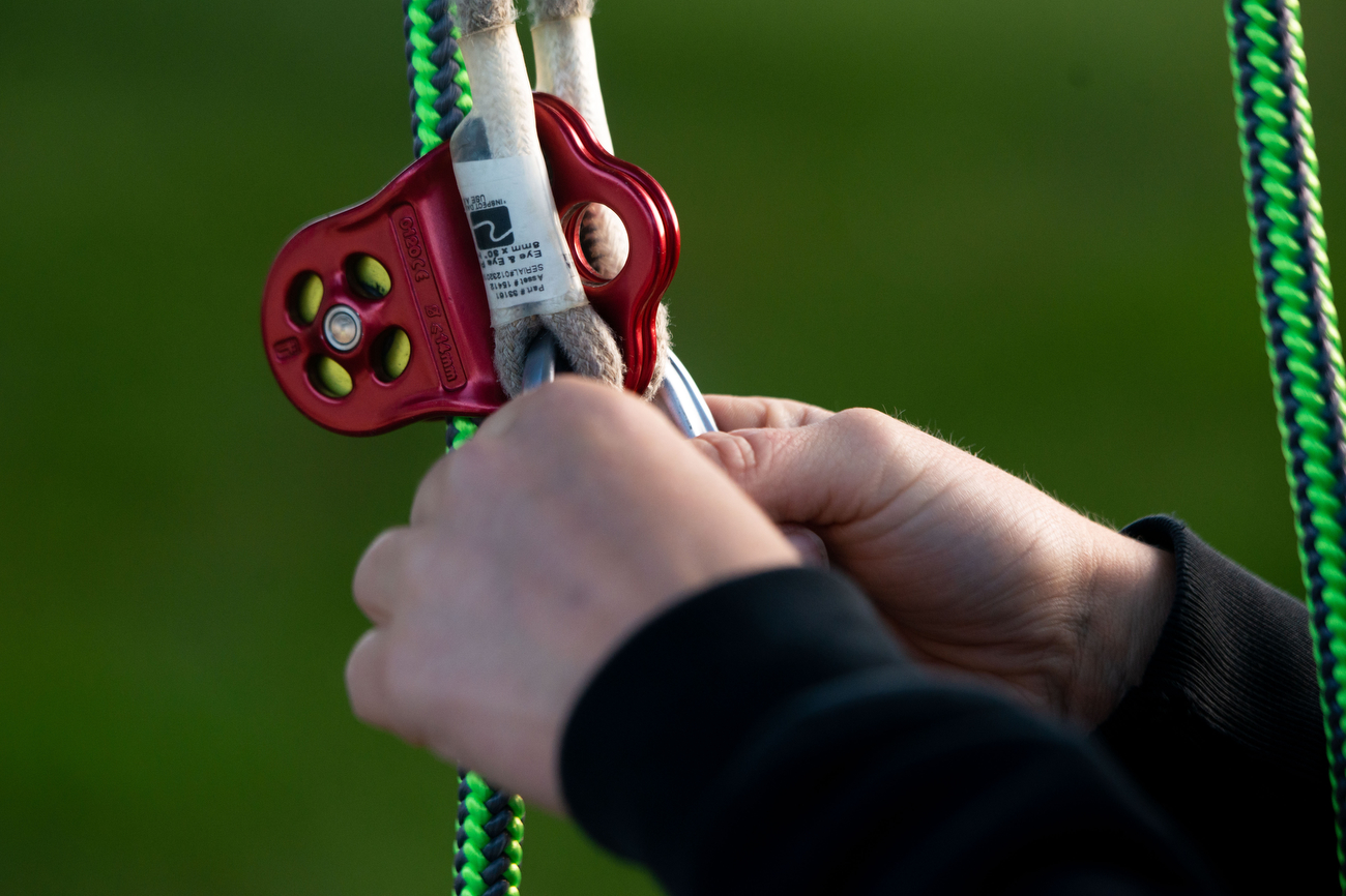 Guardian Tree Experts climbers win Michigan Tree Climbing Championship ...