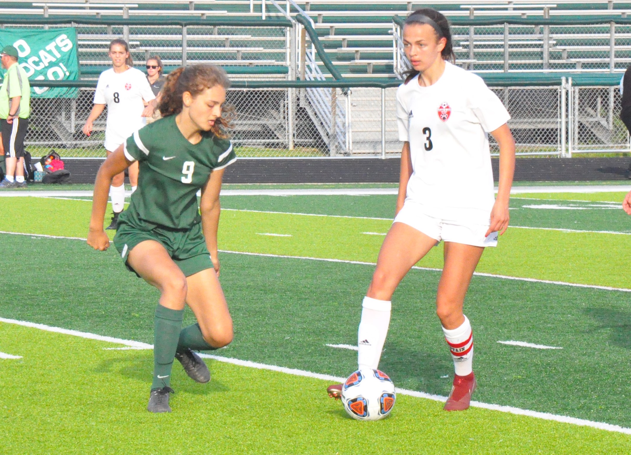 Division 1 girls soccer region championship: Novi 4, Grand Blanc 0 ...