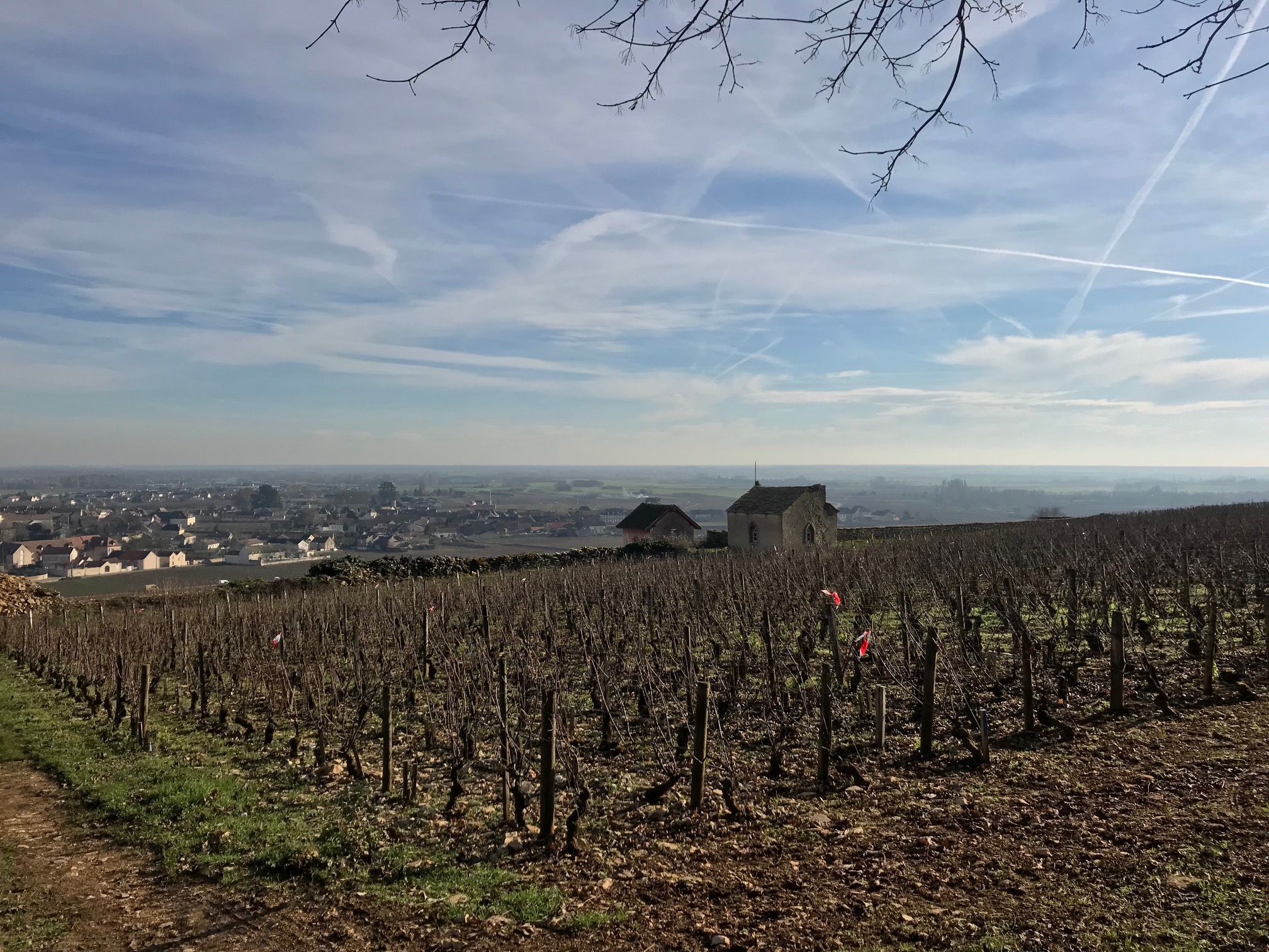 Wine Press - Meursault Wineries, Part 2 - Domaine Vincent Bouzereau ...
