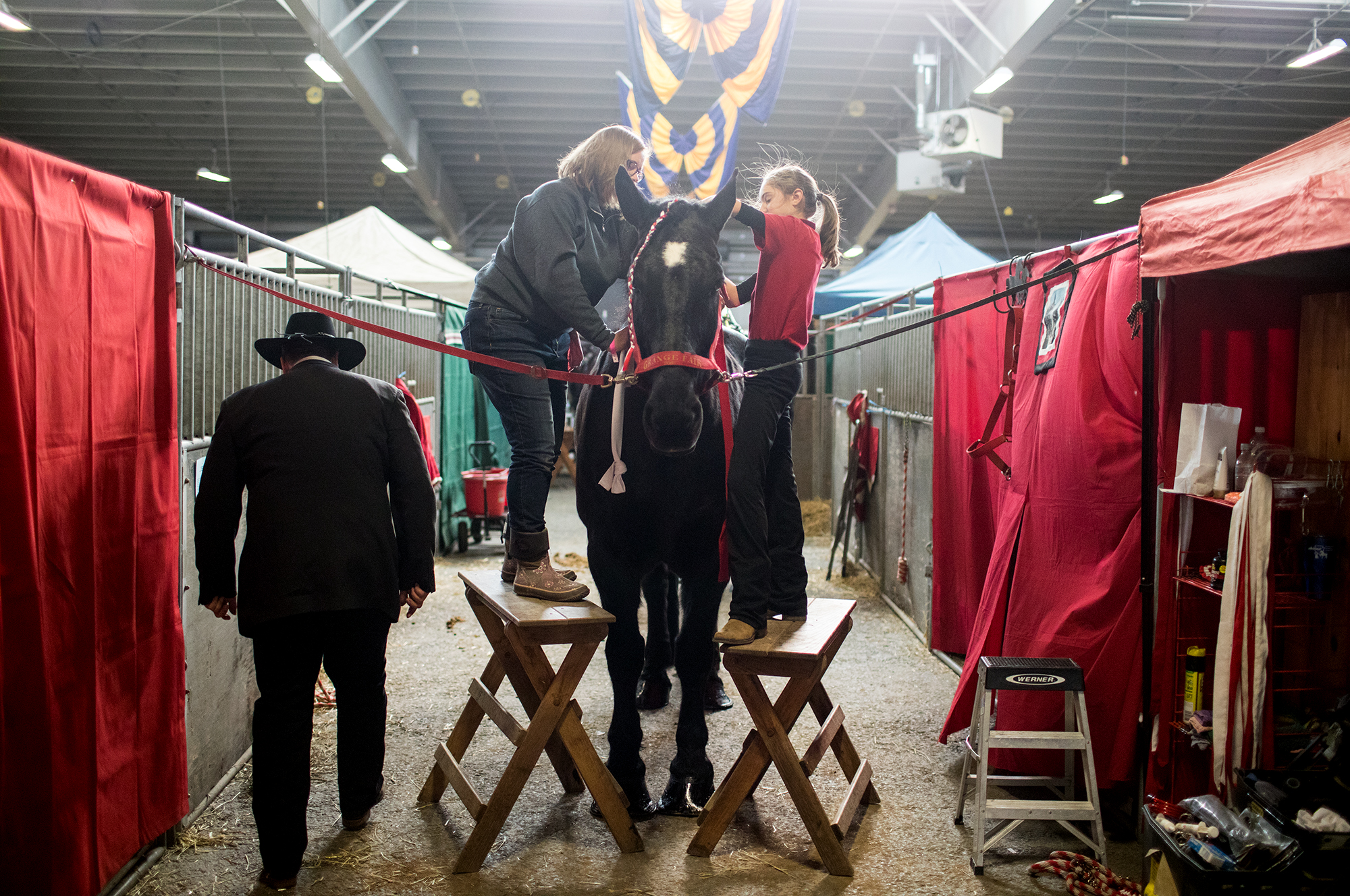 Pa. State Farm Show: Best photos from 2018 - pennlive.com