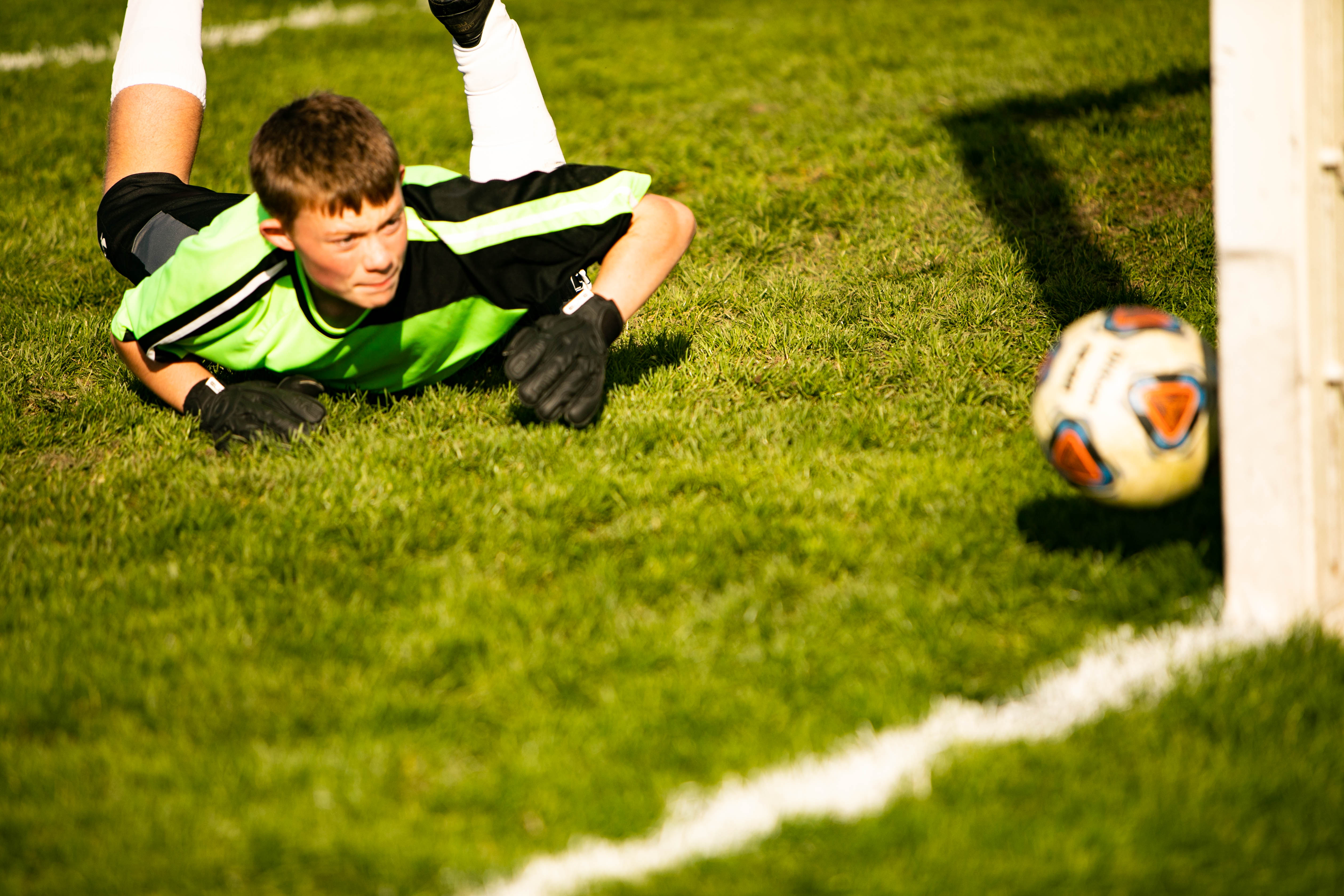 Frankenmuth v. Freeland - mlive.com