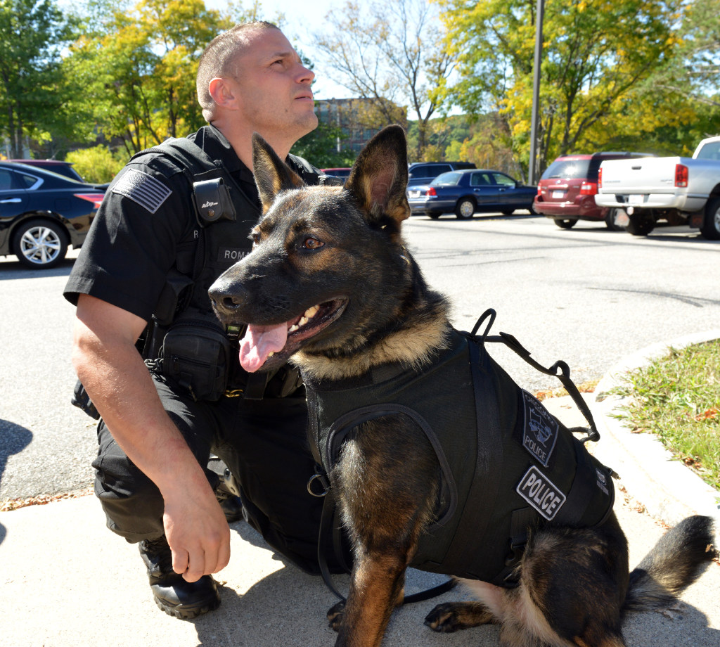 Chicopee Police expand K9 unit - masslive.com