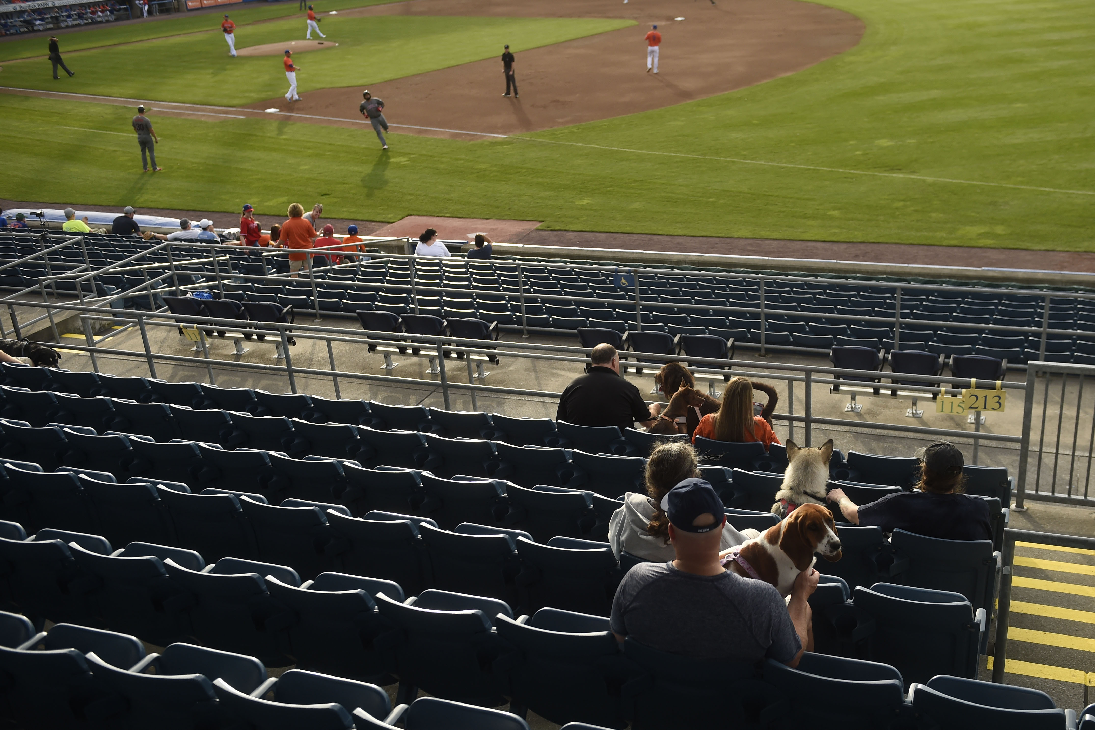 Bark in the Park Night at NBT Bank Stadium - syracuse.com