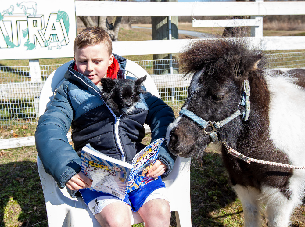 Paws N’ Read program held at CATRA for Read Across America - pennlive.com
