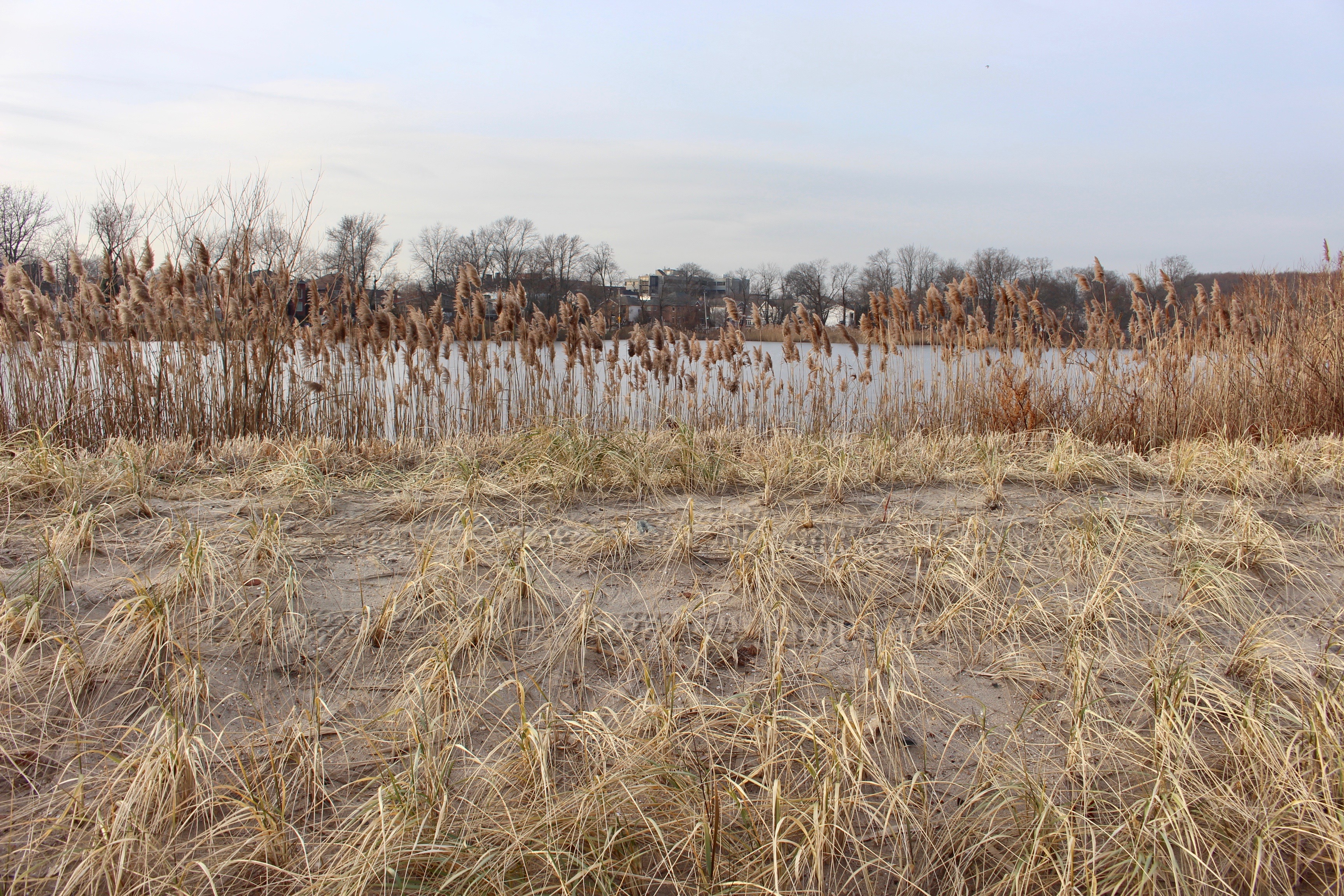 Wolfe's Pond berm reconstructed, new basketball courts coming - silive.com
