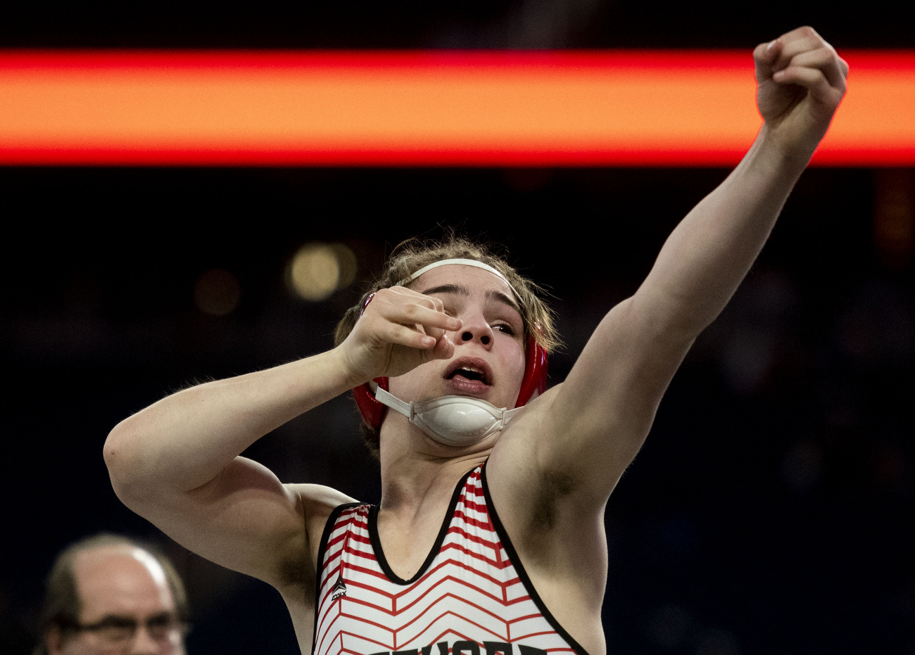 MHSAA Division 2 Individual Wrestling finals - March 7, 2020 - mlive.com