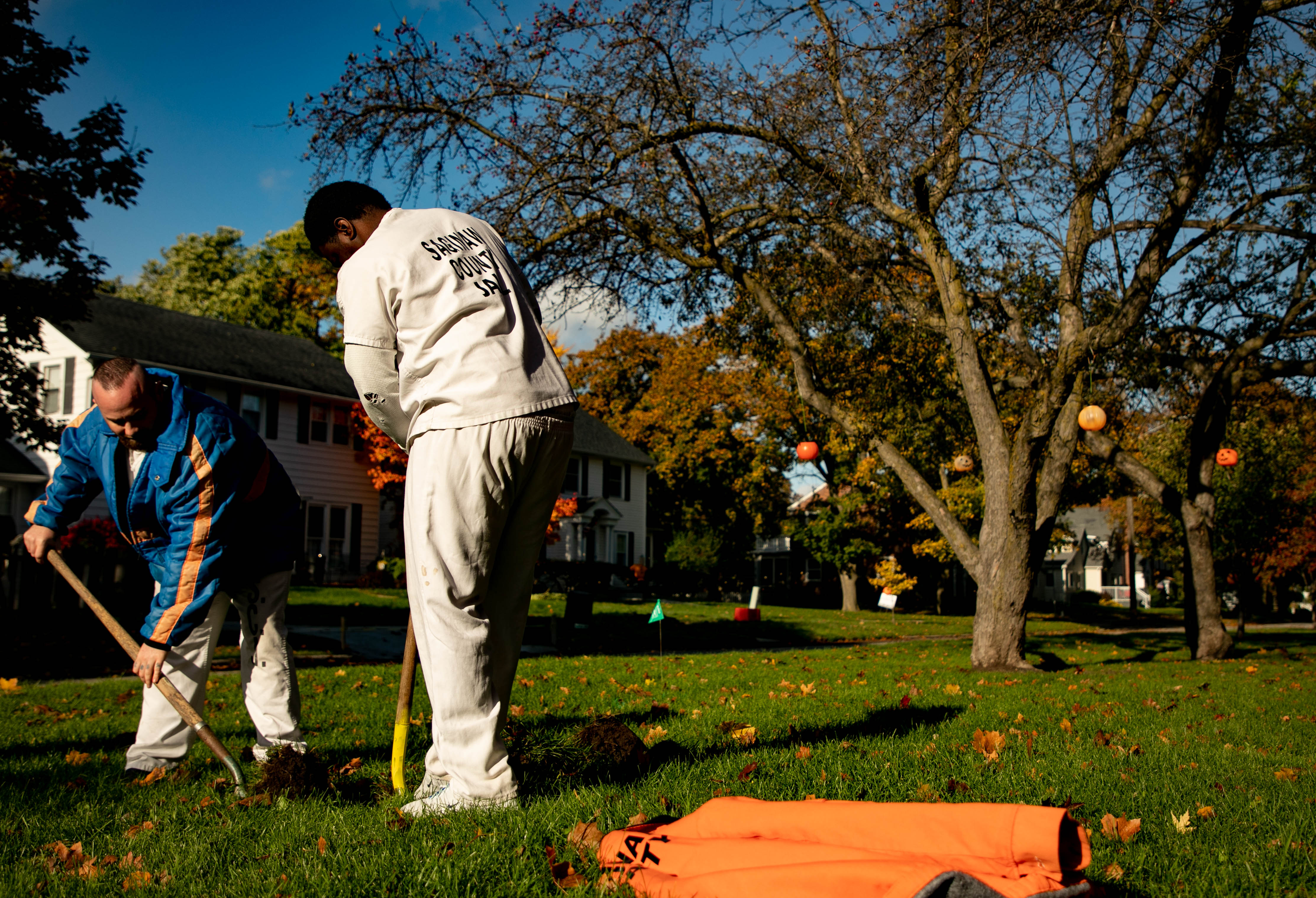 Tree planting on Adams Boulevard - mlive.com