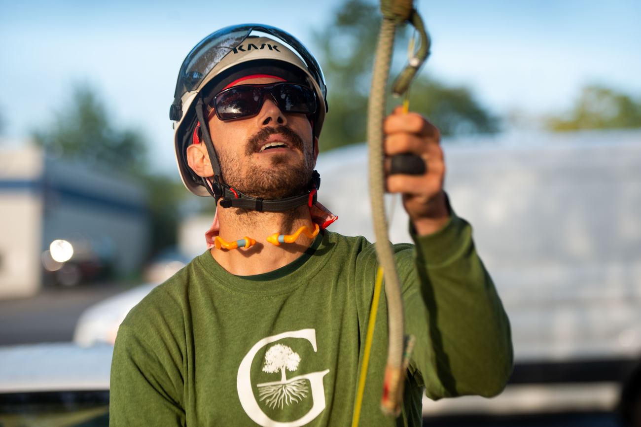 Guardian Tree Experts climbers win Michigan Tree Climbing Championship ...