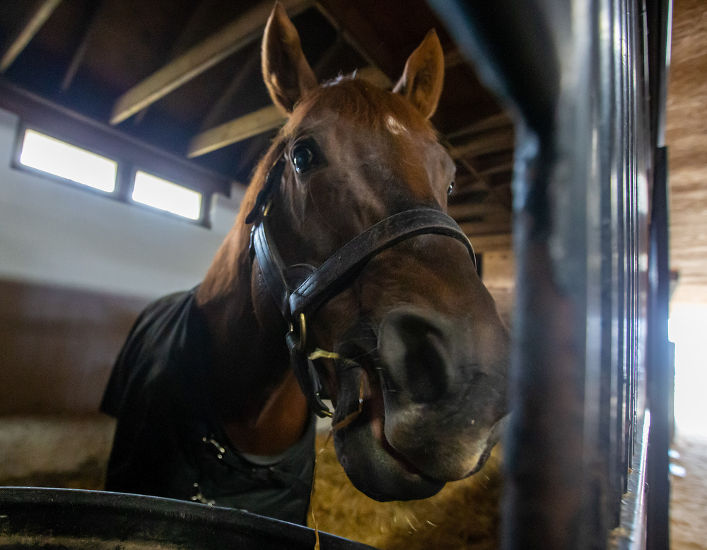 Rally to save horse racing in Pennsylvania - pennlive.com