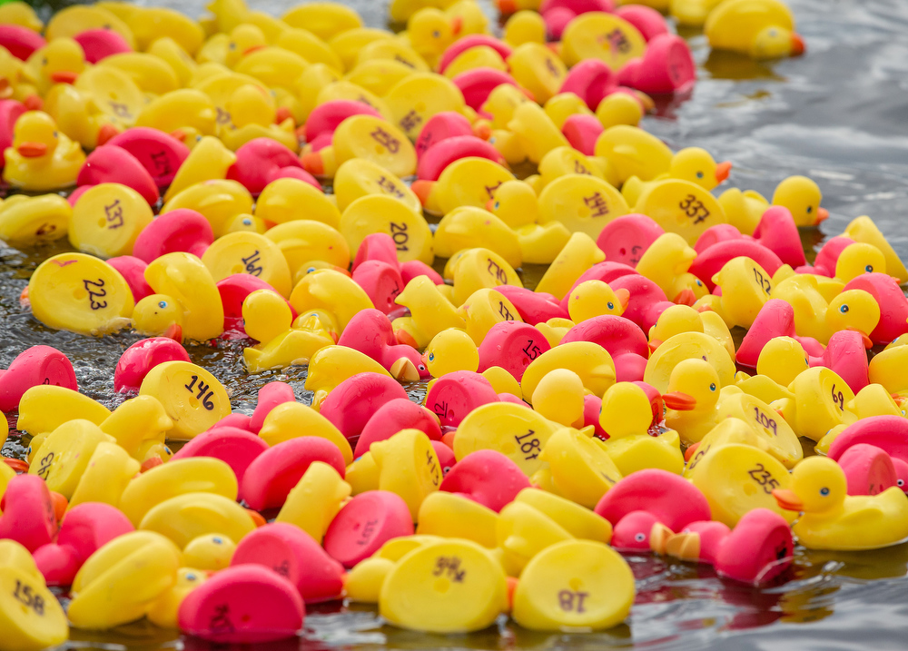 Rubber Duck Race at Kipona 2019 - pennlive.com