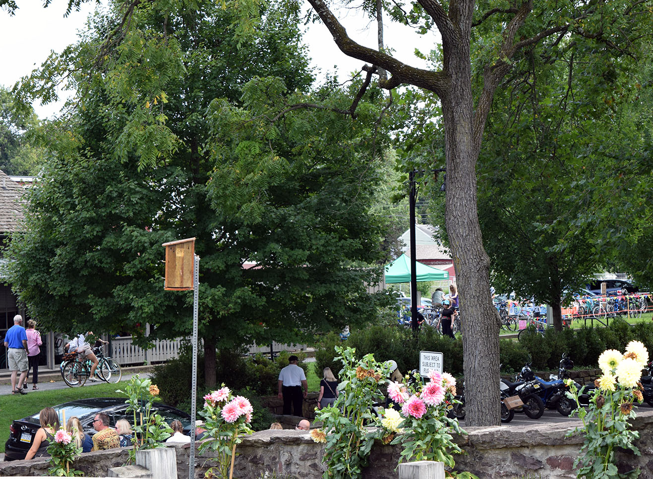 Frenchtown RiverFest 2019 - nj.com
