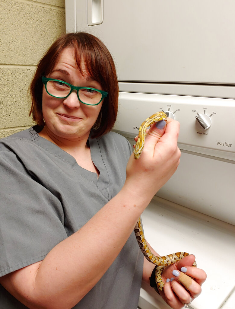 Snake in washing machine - oregonlive.com