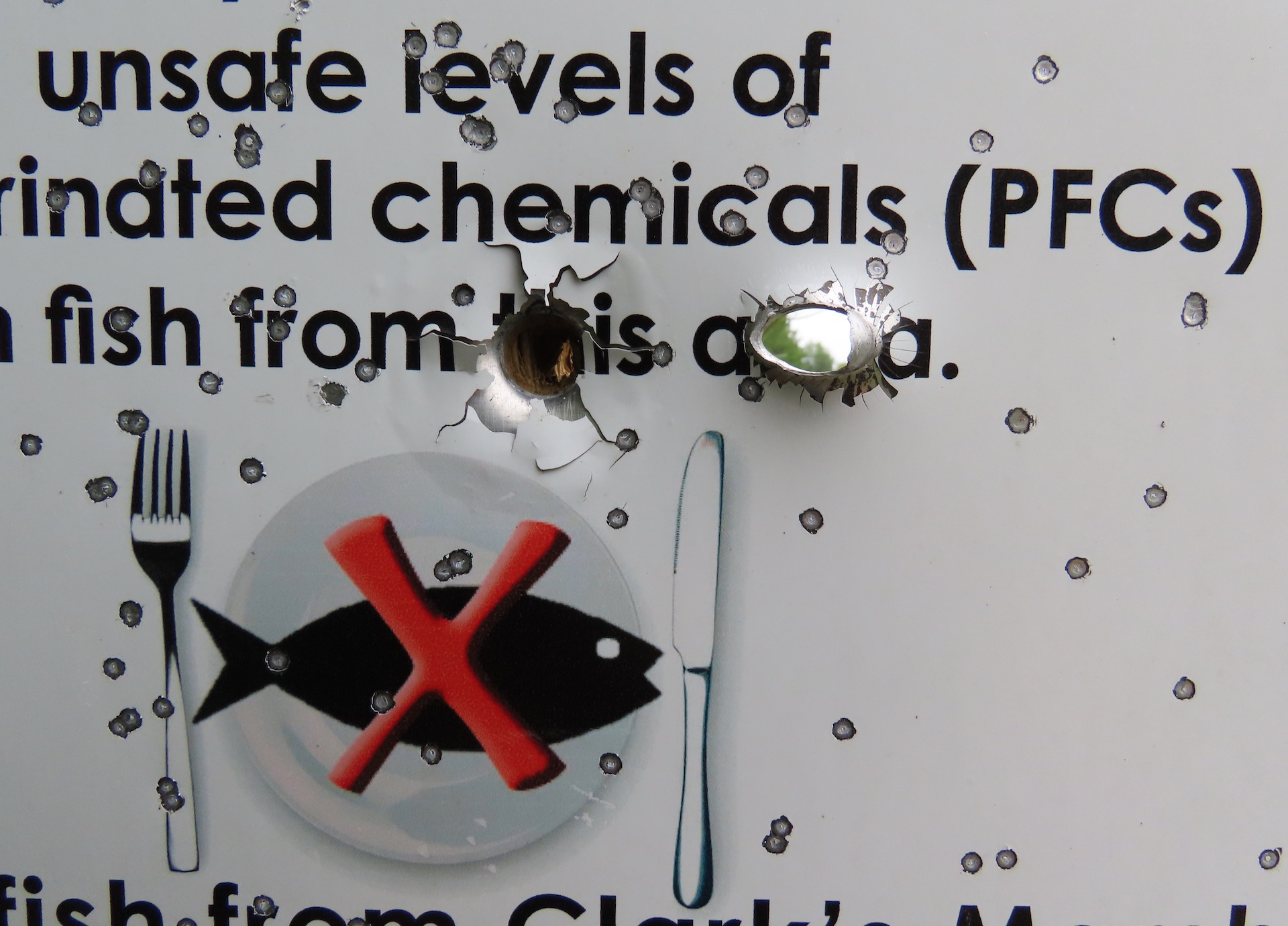 Michigan PFAS activists gather in Oscoda to demand cleanup - mlive.com