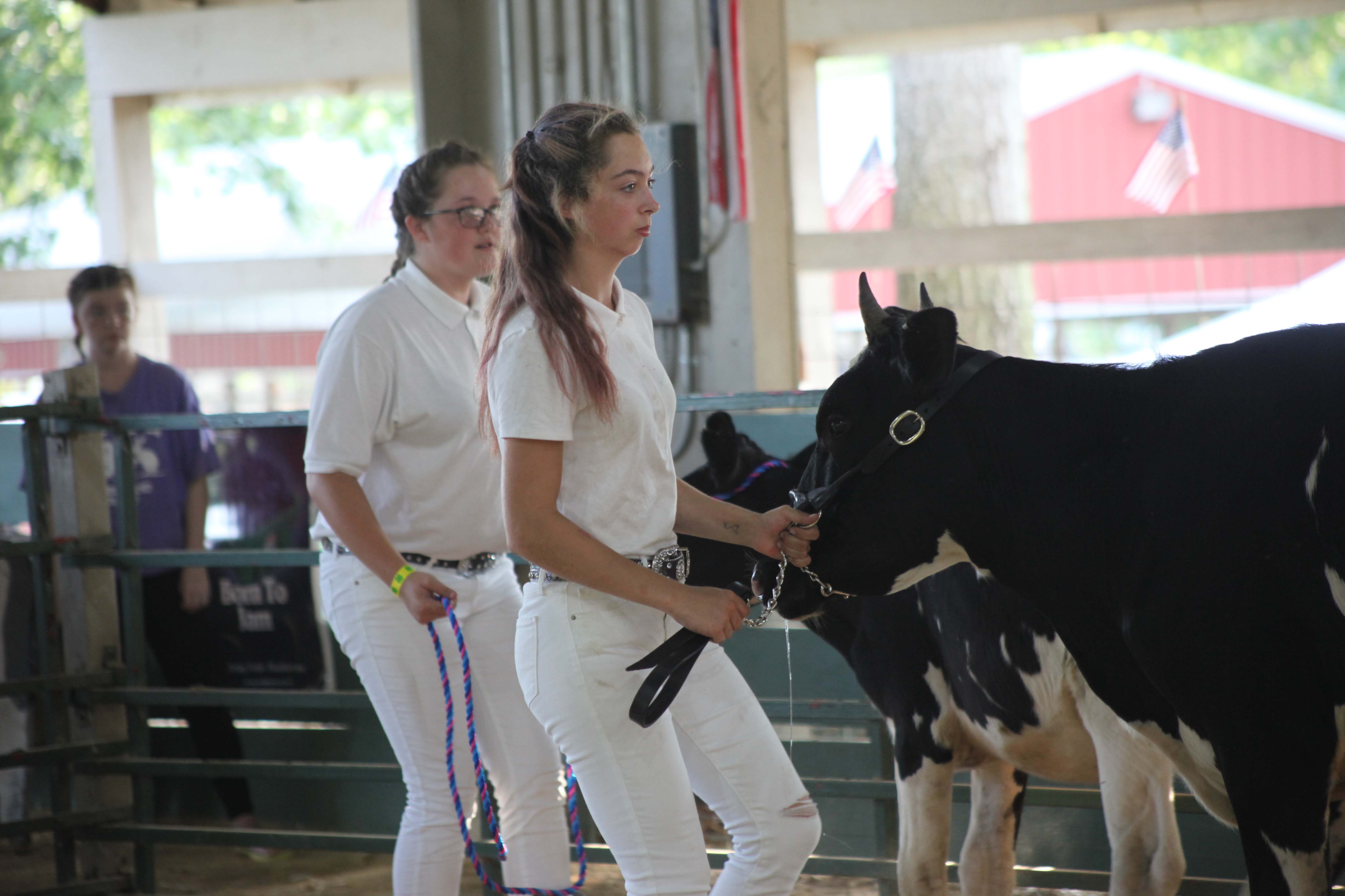 Cumberland County Fair 2019 has something fun for everyone - nj.com
