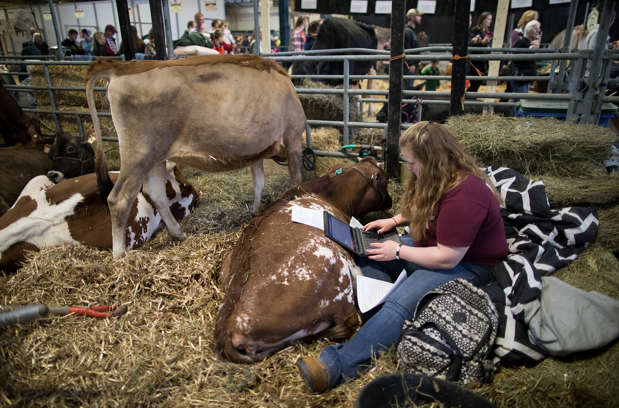 Pa. State Farm Show: Best photos from 2018 - pennlive.com