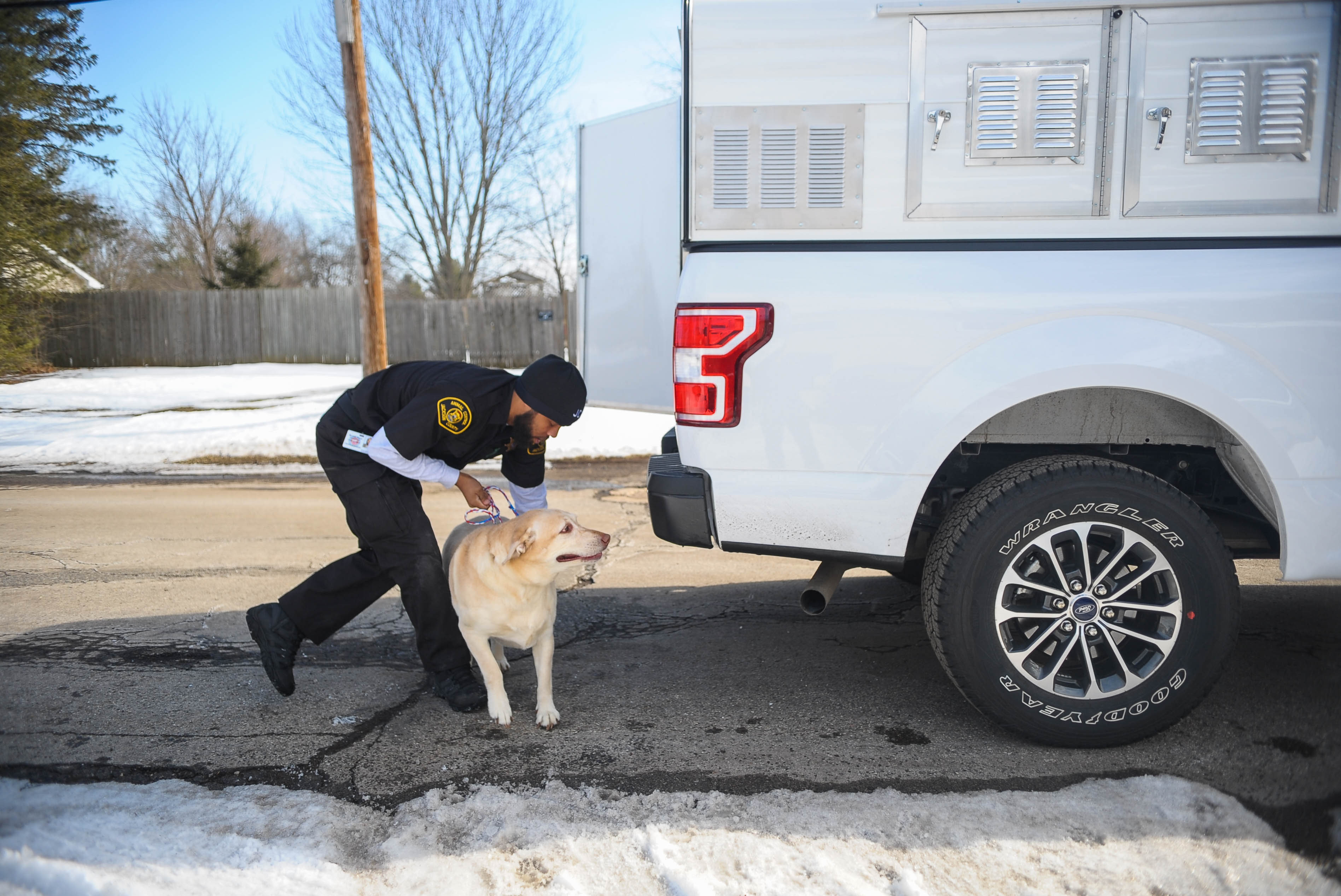 Jackson County Animal Control back after being shut down in 2014 ...